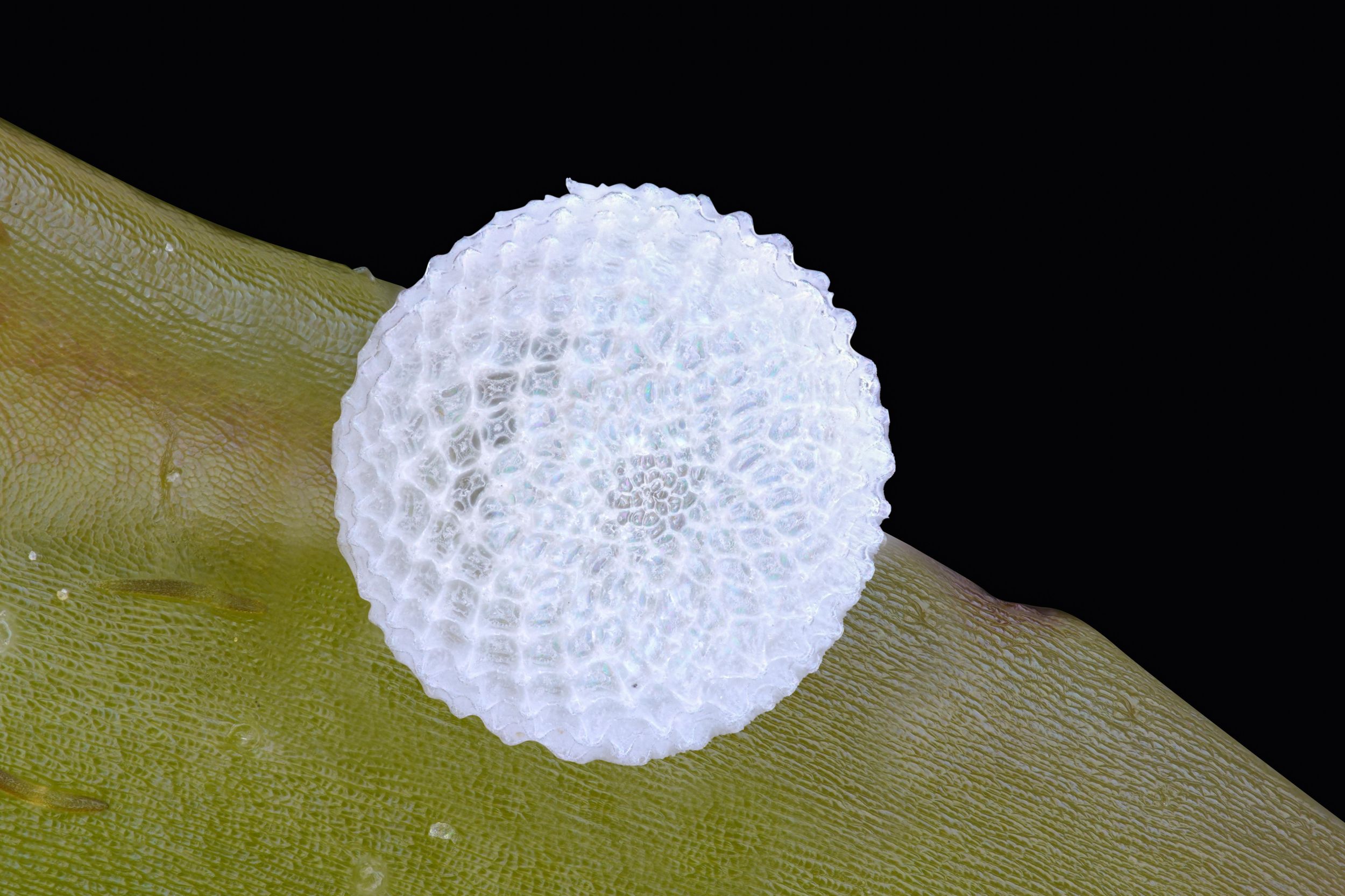 图库 – 见著光电科技