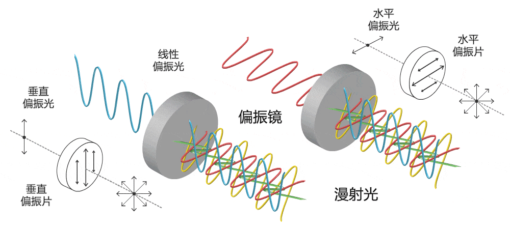 偏光摄影 – 见著光电科技